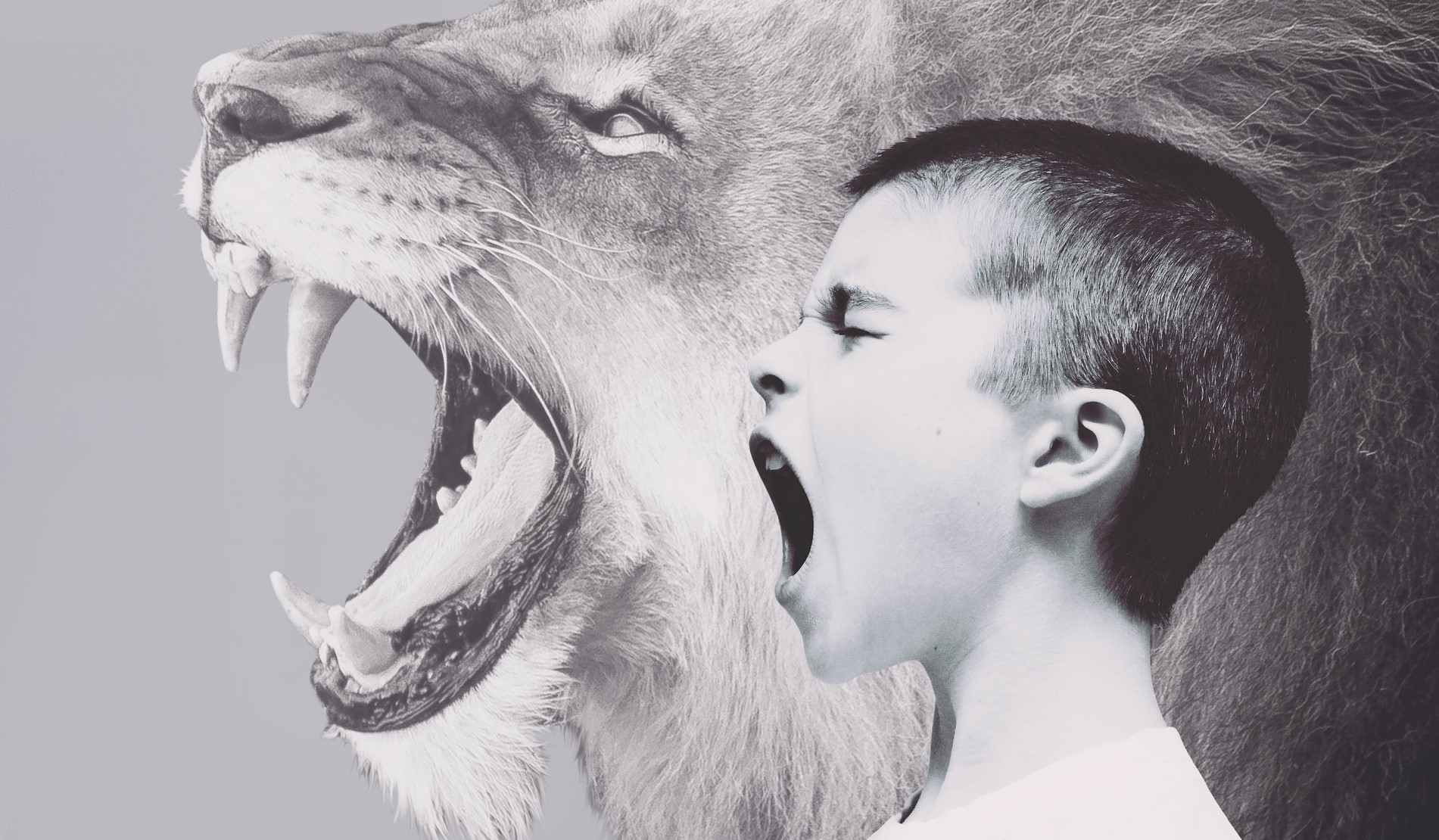 Aggressive child: a psychologist's advice on the fight against child ...