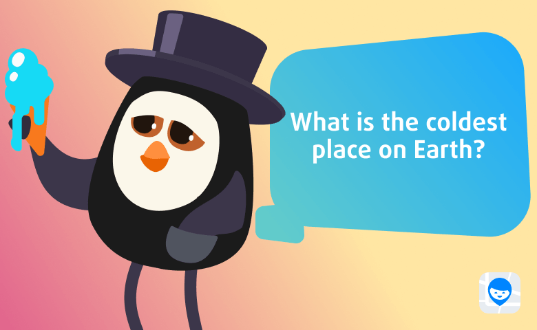 100+ Trivia Questions with Answers for Kids | Findmykids