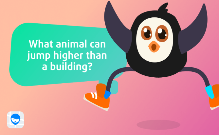 100+ Funny Riddles with Answers for Kids | Findmykids