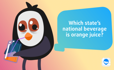 Geography Trivia Questions: 150 Fun Questions (Plus Answers) for Kids ...