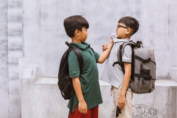 Kids Fighting at School and Home: Why Siblings Fight and What Parents ...