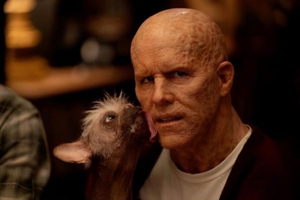 Deadpool and Wolverine Age Rating: A Parent's Guide to Marvel Movies ...