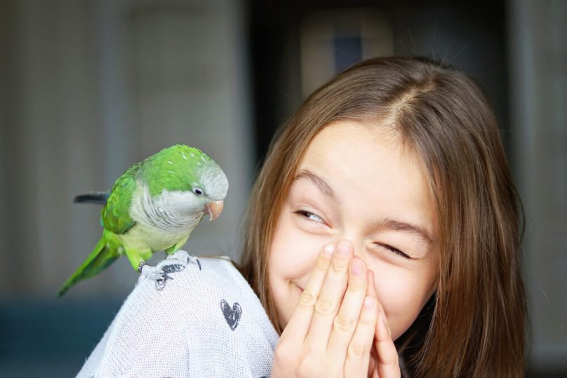 Best Pets for Kids: Easy, Fun, and Low-Maintenance Choices | Findmykids