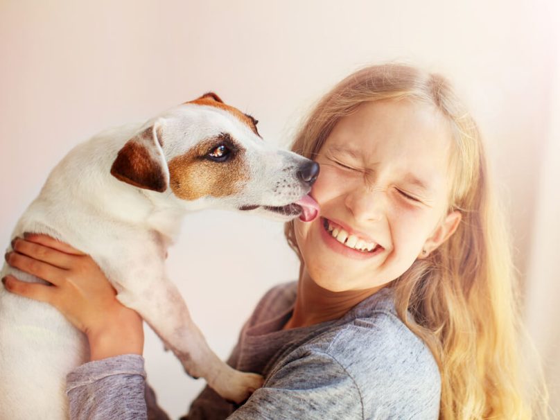Best Pets for Kids: Easy, Fun, and Low-Maintenance Choices | Findmykids