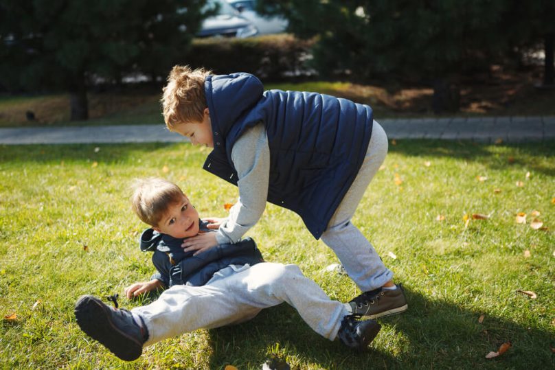 Why Do Kids Hit? Understanding Toddler Hitting and How to Stop It ...