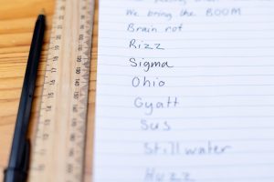 Gen Alpha Slang: 65 Words, Phrases, and Meanings Parents Need to Know ...