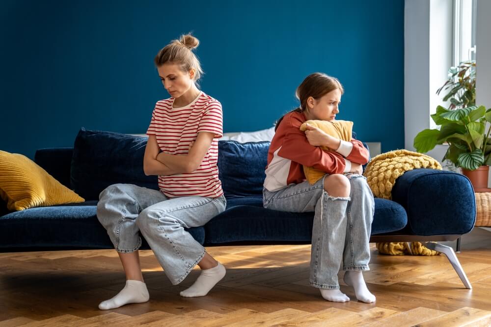 Toxic Family: How to Recognize the Signs and Deal with Toxic Family ...