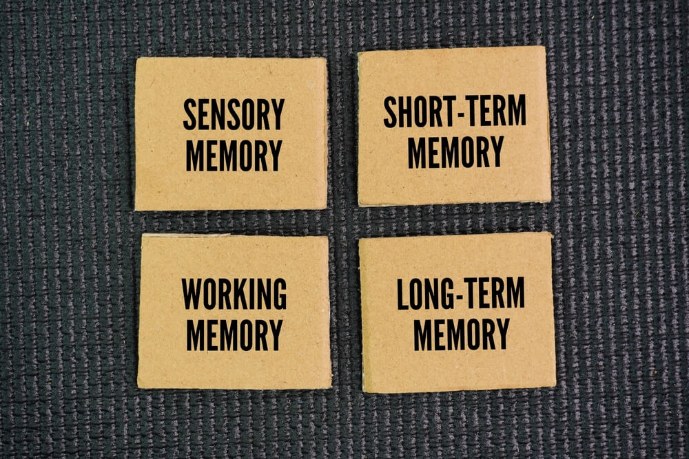 How to Memorize Something Fast: Best Memorization Techniques | Findmykids